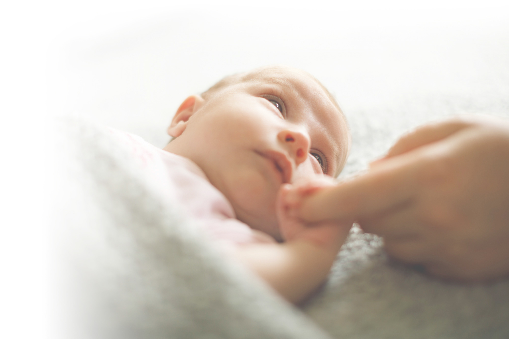 Birthwise Wellness – Breastfeeding + Infant Feeding Support